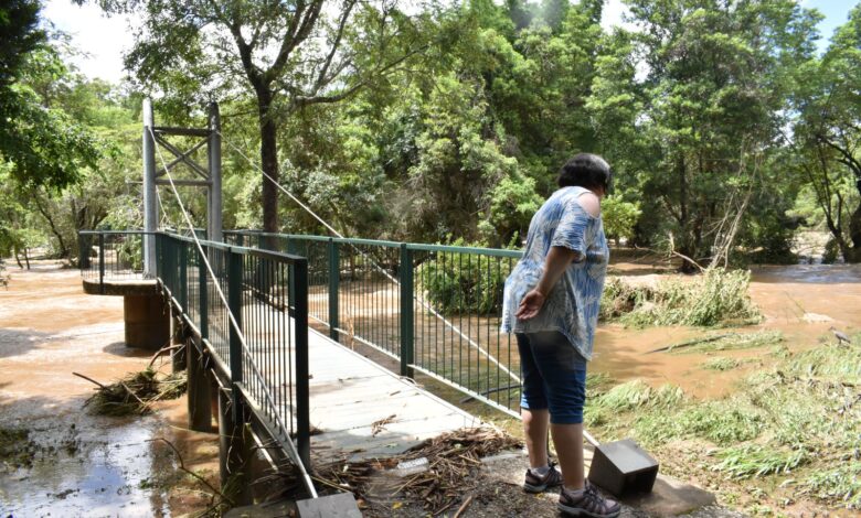 Watch: Flood at Lowveld Botanical Garden reportedly worse than in 2000 ...