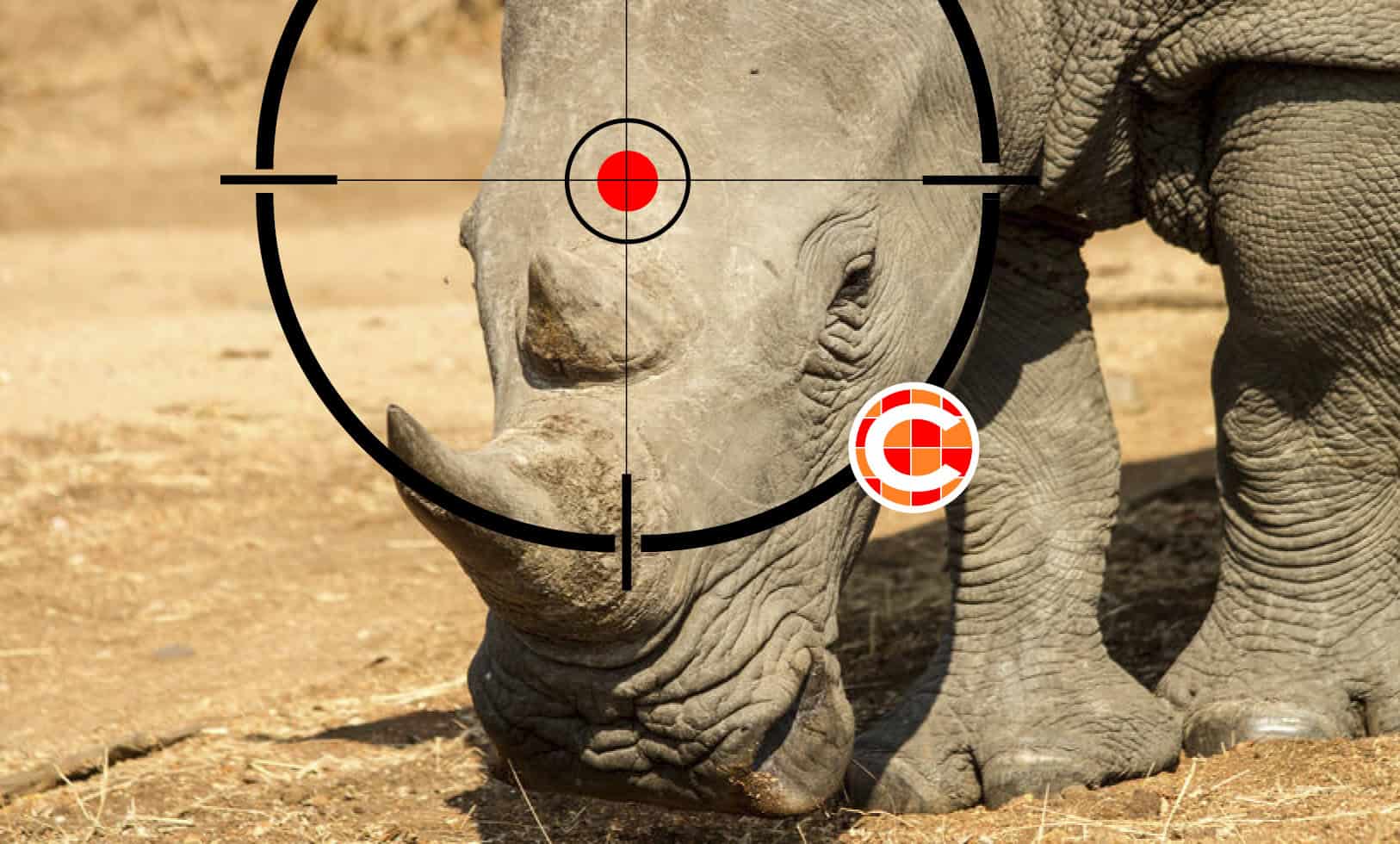 Highvelder News | Breaking local news in Ermelo and Surrounds