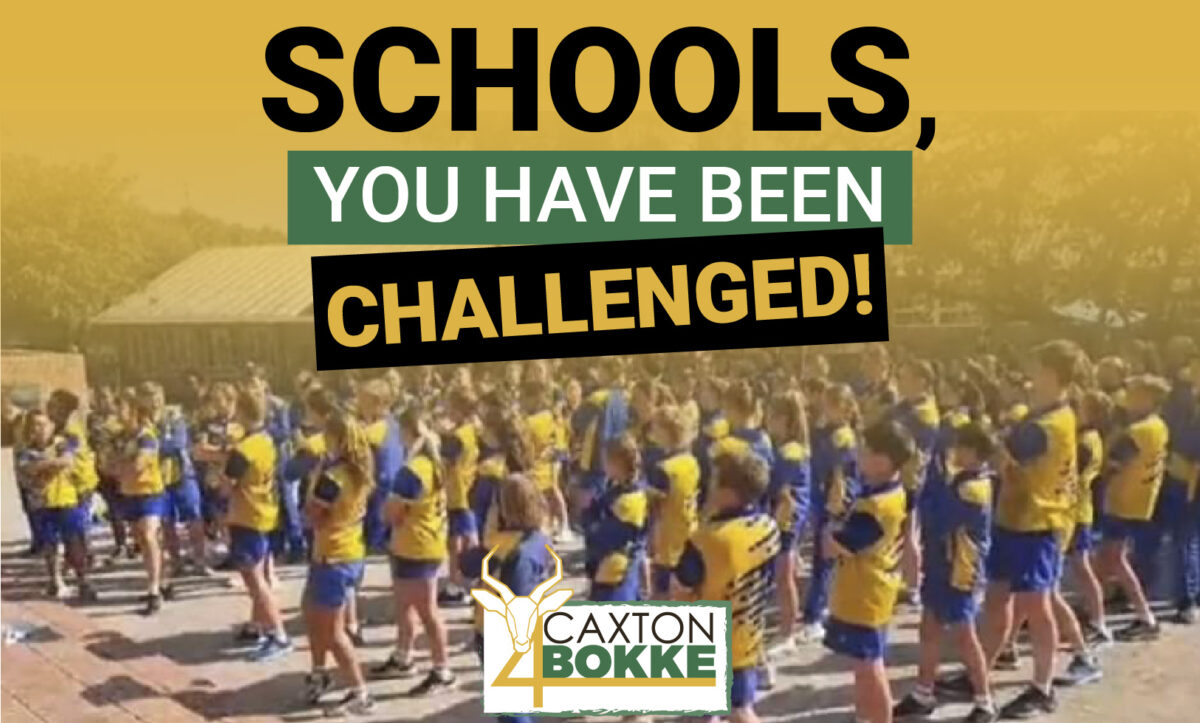 Watch: Laerskool Nelspruit show their support of the Springboks - LNN ...