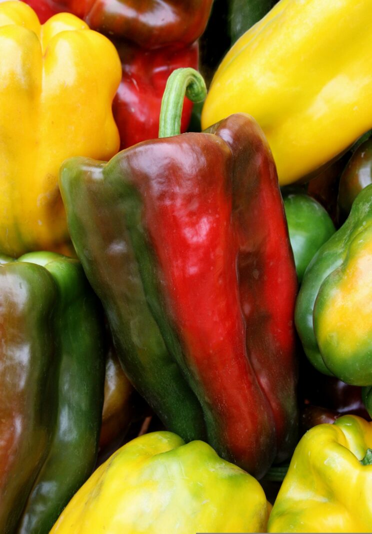 Sweet success with sweet peppers