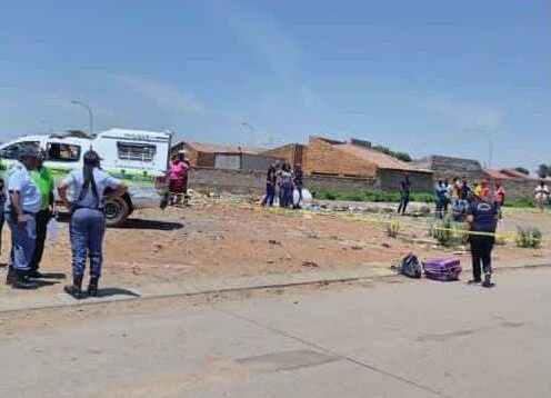 Pair pushing body parts in suitcase arrested in Benoni - LNN - Network News