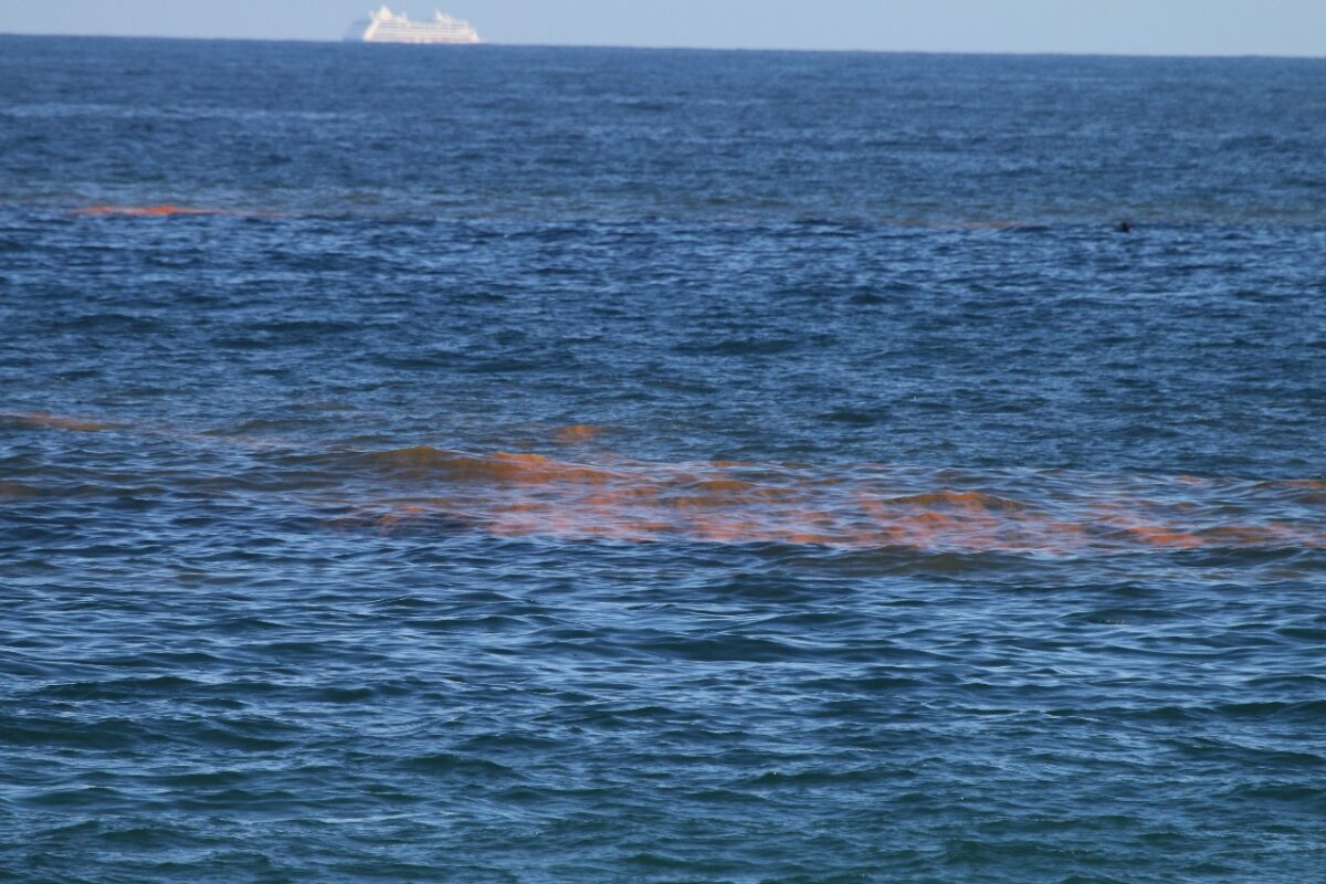 Shellfish warning amid red tide off Dana Bay - LNN - Network News