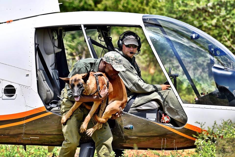 Ways technology is transforming wildlife protection in Africa - LNN ...