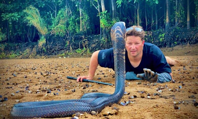 Renowned reptile YouTuber Dingo Dinkelman dies following snake bite ...