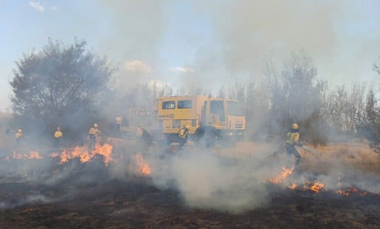 Mpumalanga has the most fire outbreaks in South Africa - LNN - Network News