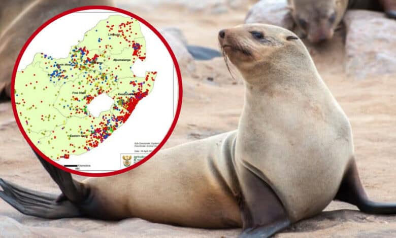 Warning: Beware of rabies this festive season - LNN - Network News