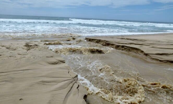 Safety warning issued after sharks, crocs spotted at a St Lucia beach ...