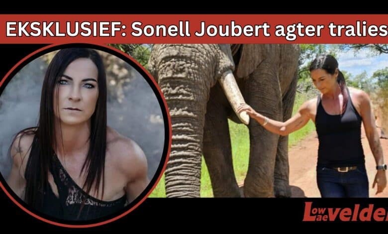 Olifant se eienaar agter tralies na werknemer se mesdood op plaas in ...