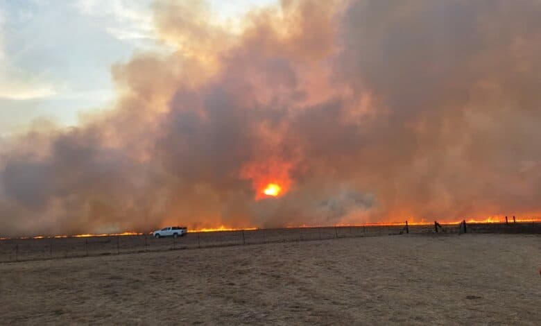 Fochville-inwoner sterf in veldbrand - LNN - Network News