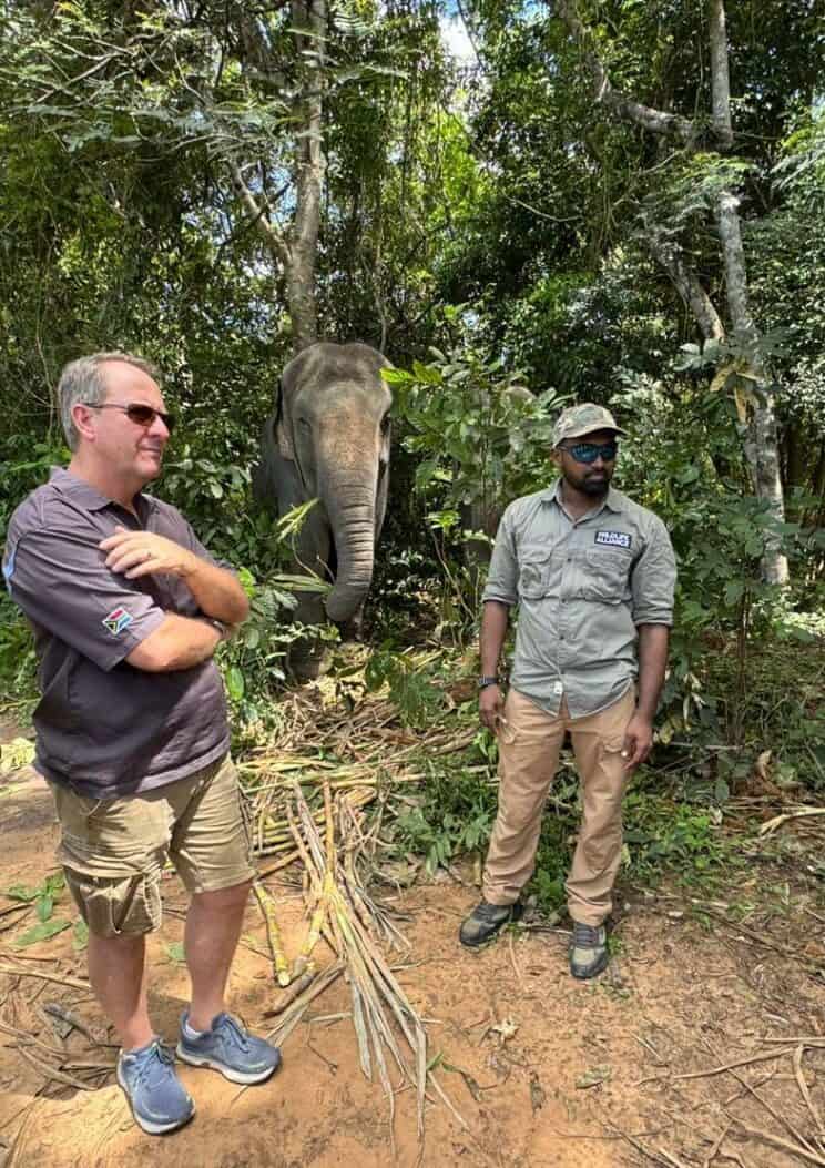 Watch: Groundbreaking elephant tusk extraction in Cambodia led by UP ...