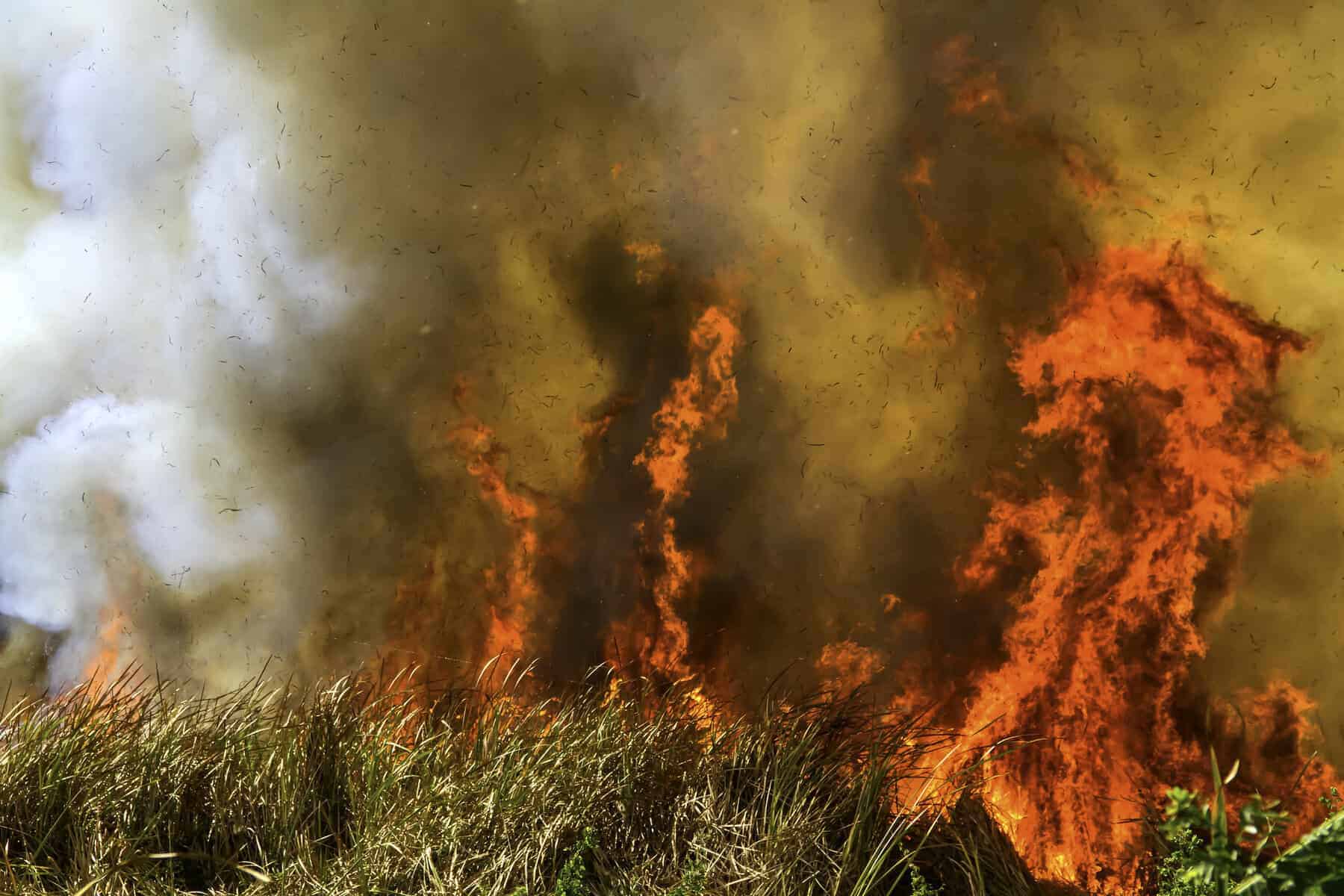 Benoni City Times | Breaking local news in Benoni