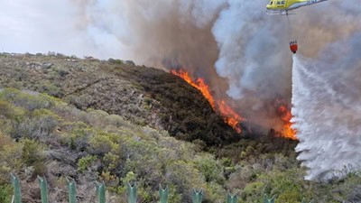 Watch: Fire crews remain on alert in Mossel Bay; animals treated for ...