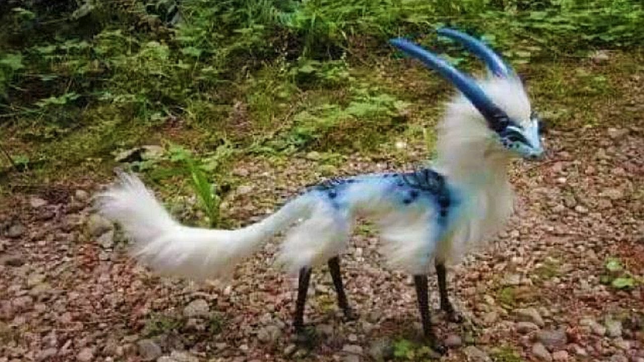 8 Animals you won't believe actually exist | Soweto Urban