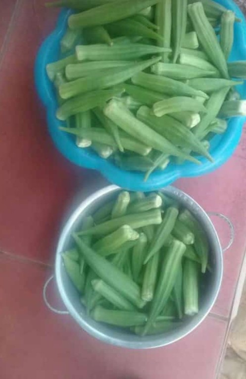 FOCUS: Explore Tsonga people's staple foods | Soweto Urban