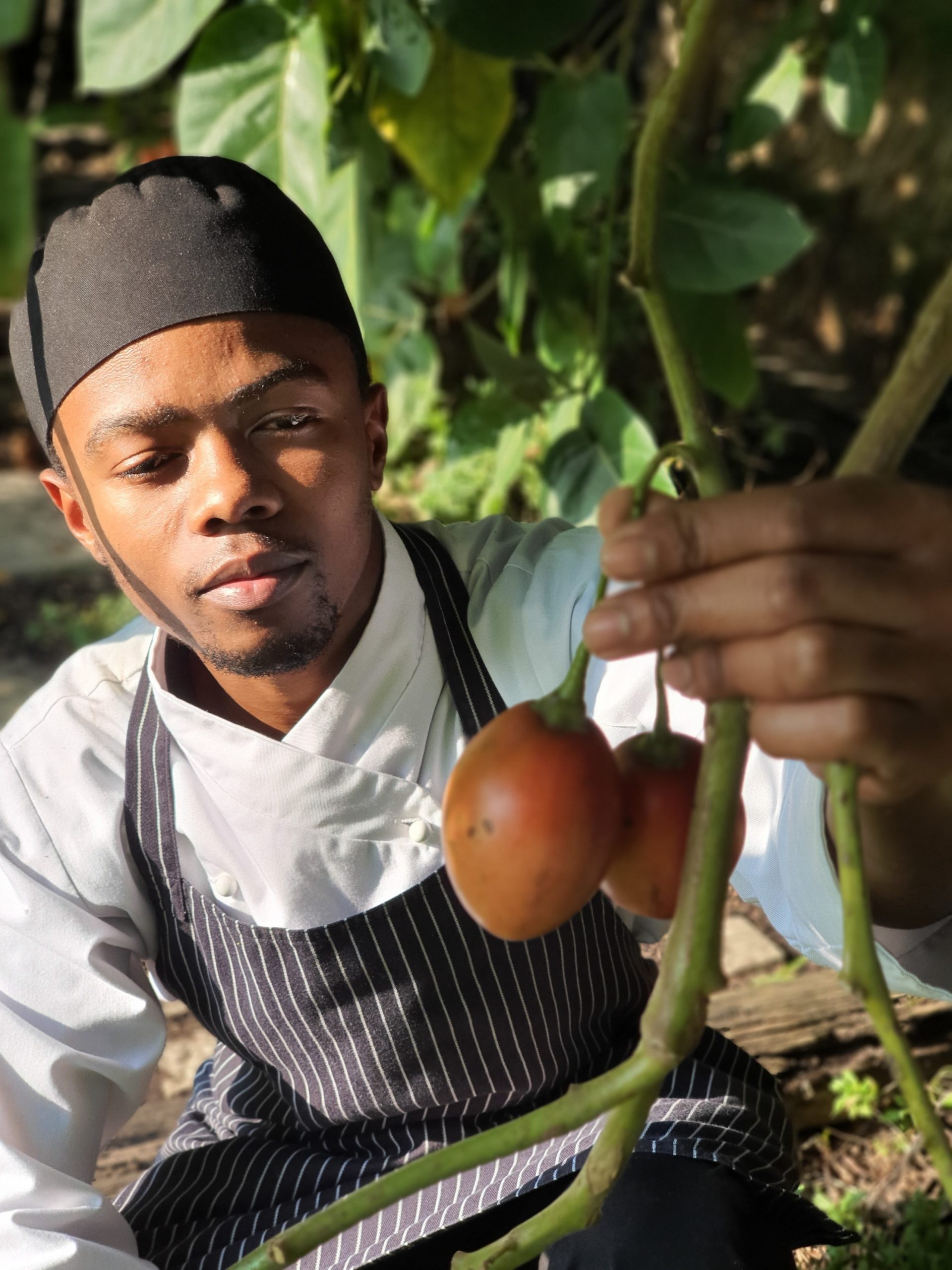Hope Mdakane - a young chef with a bright future | Soweto Urban