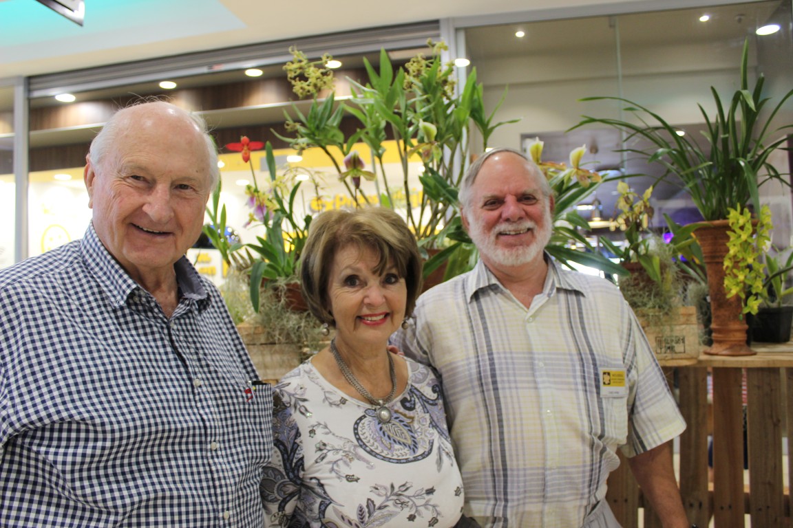 Tzaneen: Orgideë blom tydens uitstalling, lok inwoners soos bye ...