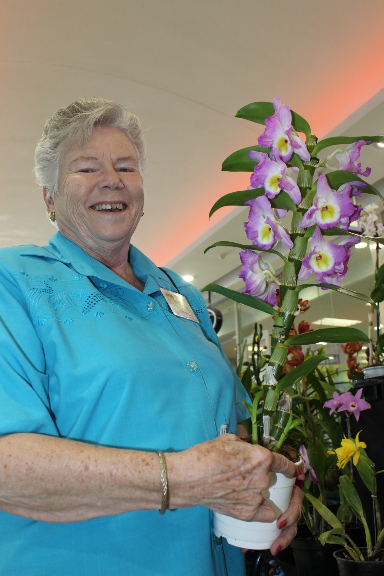 Tzaneen: Orgideë blom tydens uitstalling, lok inwoners soos bye ...