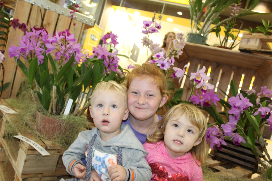 Tzaneen: Orgideë blom tydens uitstalling, lok inwoners soos bye ...