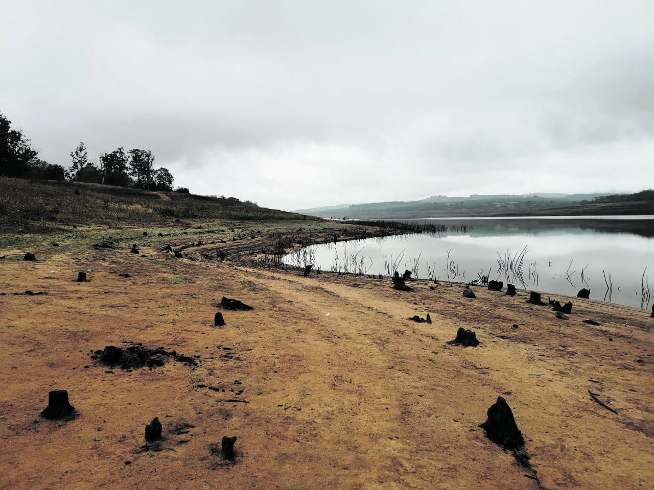 DA alleges corruption in development of boreholes in Mopani | Letaba Herald