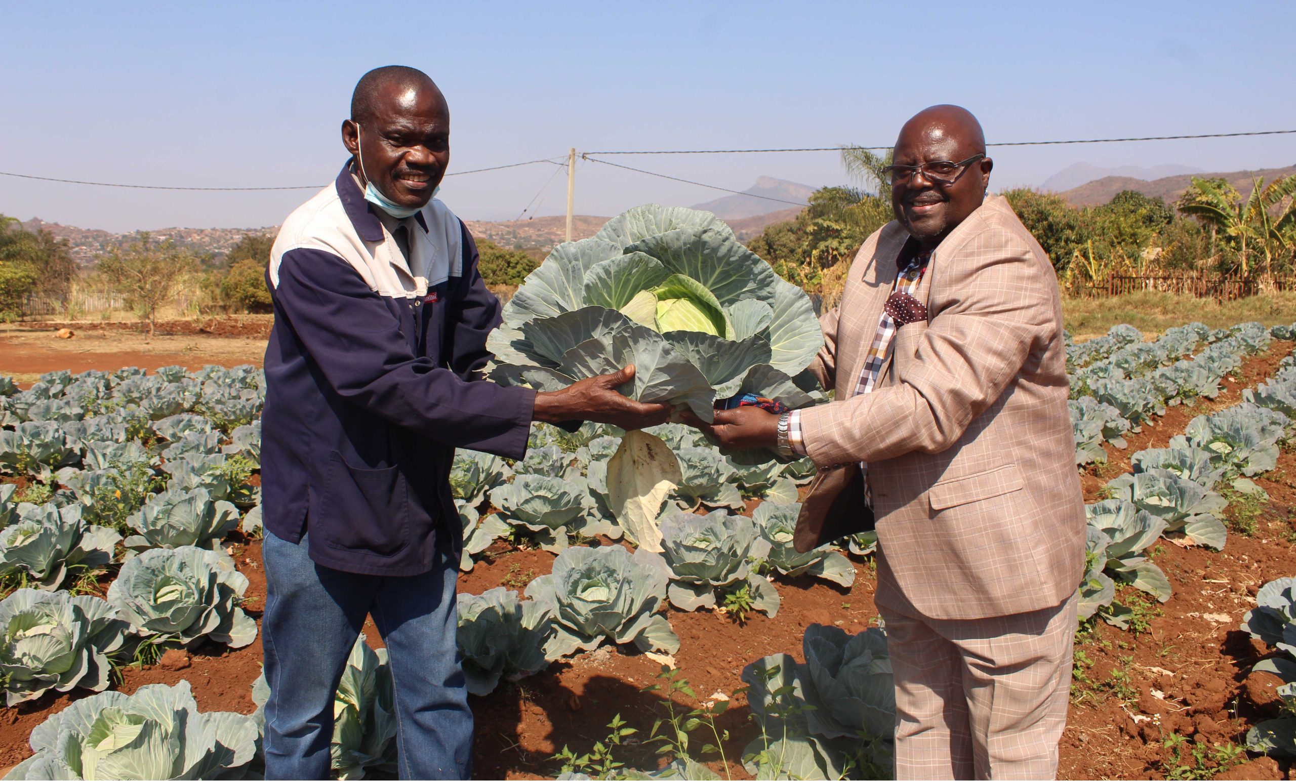 Ramodike assists in school vegetable scheme | Letaba Herald