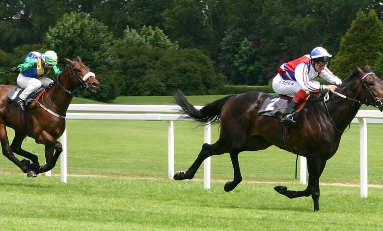 Biggest Upcoming Horse Events | Letaba Herald