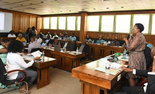 The Presidency pleased with progress at Nkowankowa Industrial Park ...