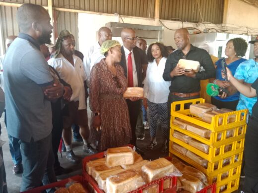 The Presidency pleased with progress at Nkowankowa Industrial Park ...