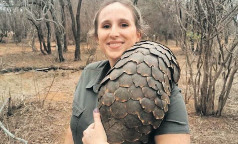 Die beskerming van ietermagôe in die kollig | Letaba Herald