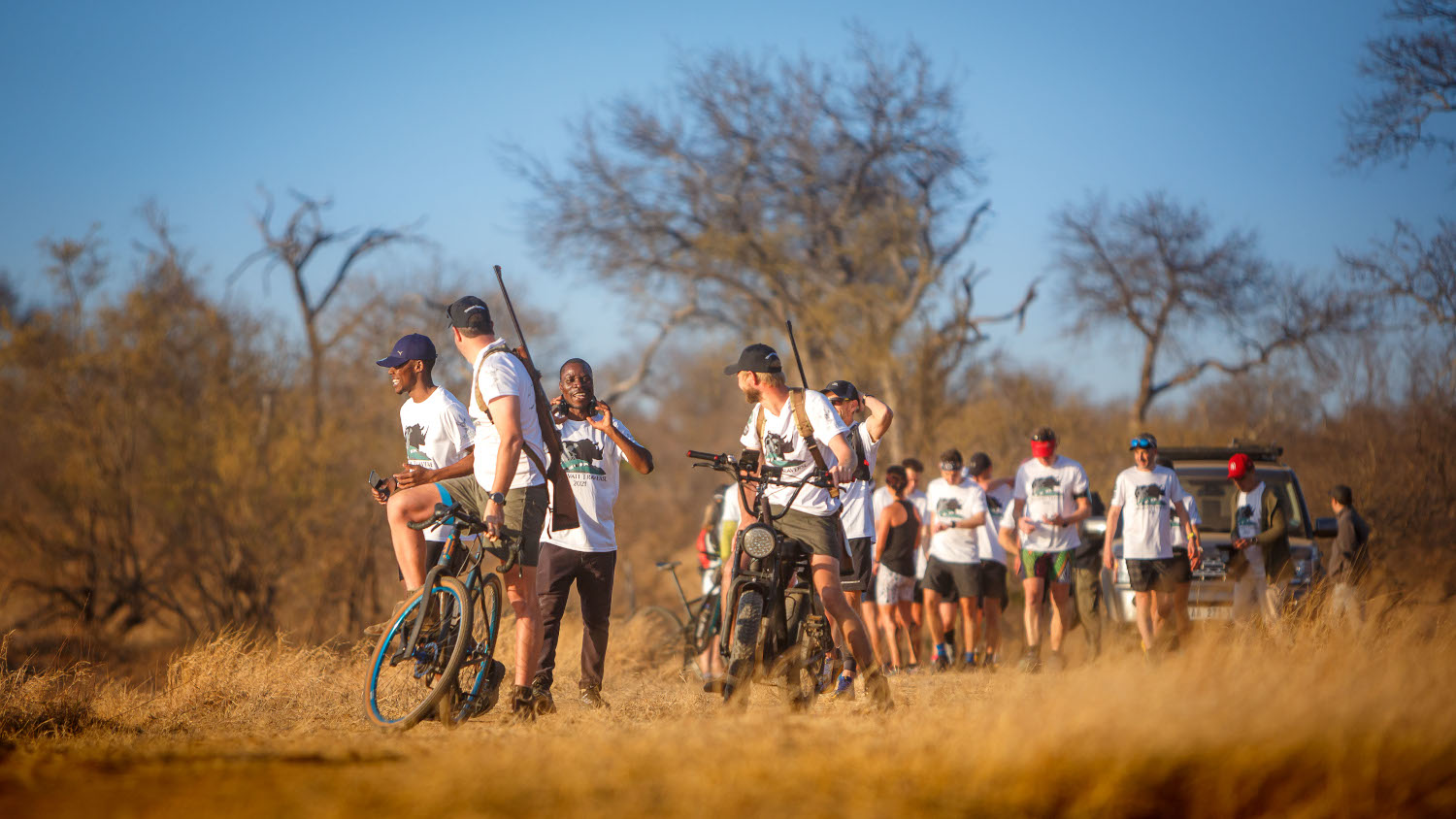 Enjoy the beauty of the Timbavati | Letaba Herald