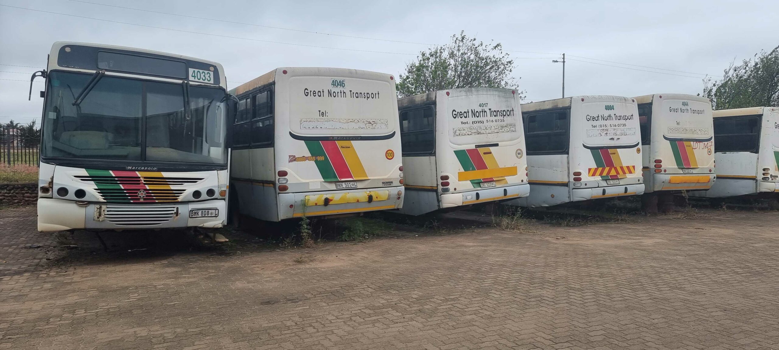 Great North Transport is in bad shape - DA | Letaba Herald