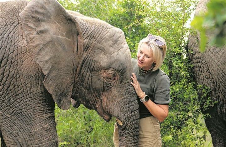 Orphaned albino elephant turns 5 at Hoedspruit rehab | Herald