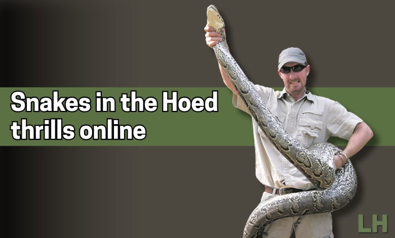 Snakes in the Hoed educates, thrills online | Herald