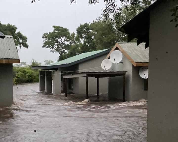 Kruger Park evacuates Satara camp staff | Letaba Herald