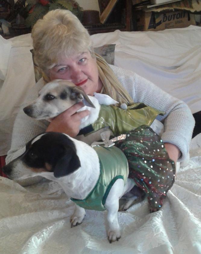 Join in on Rotary’s doggy walk in aid of SPCA furry friends ...