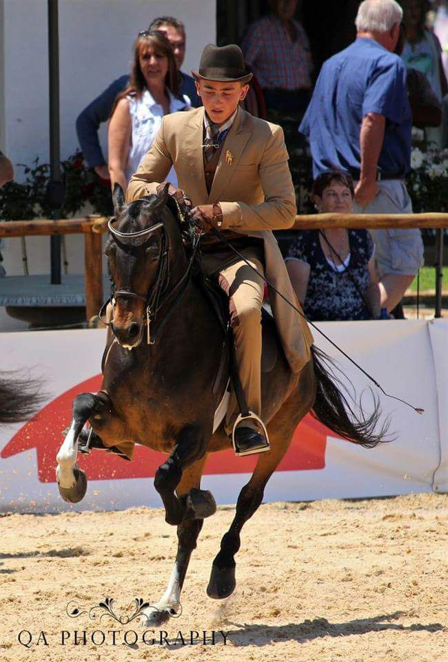 Ruiters raap weer pryse op | Carletonville Herald