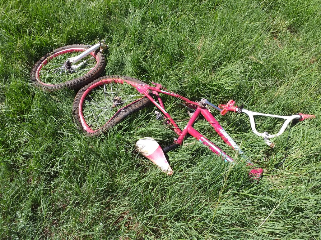 Girl (8) knocked off bicycle | Carletonville Herald