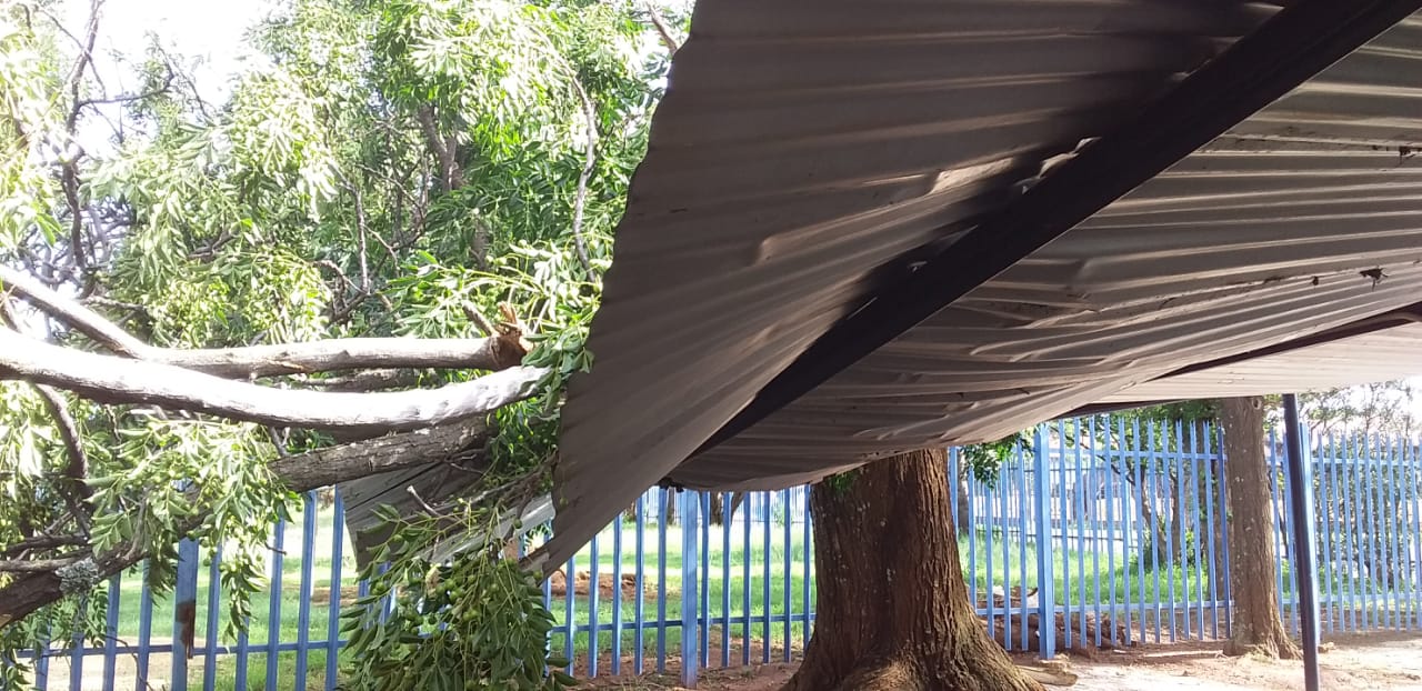 Huge damage in Carletonville after storm | Carletonville Herald