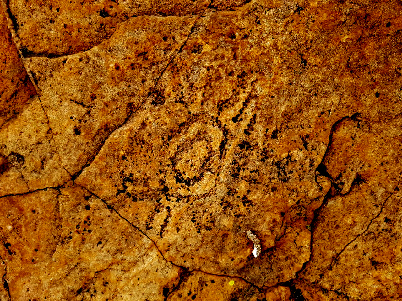 Mynboubedrywighede kan antieke rotskuns skaad | Carletonville Herald