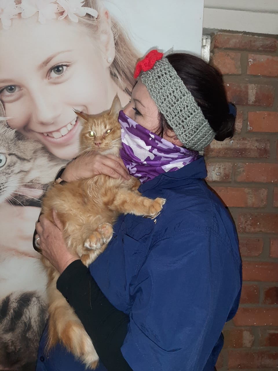 Treklorrie-episode bring Kaapse kat tot by PAWS | Carletonville Herald