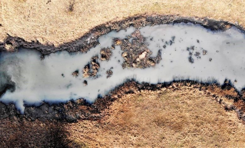 AfriForum nader Groen Skerpioene oor riool in Mooirivier ...