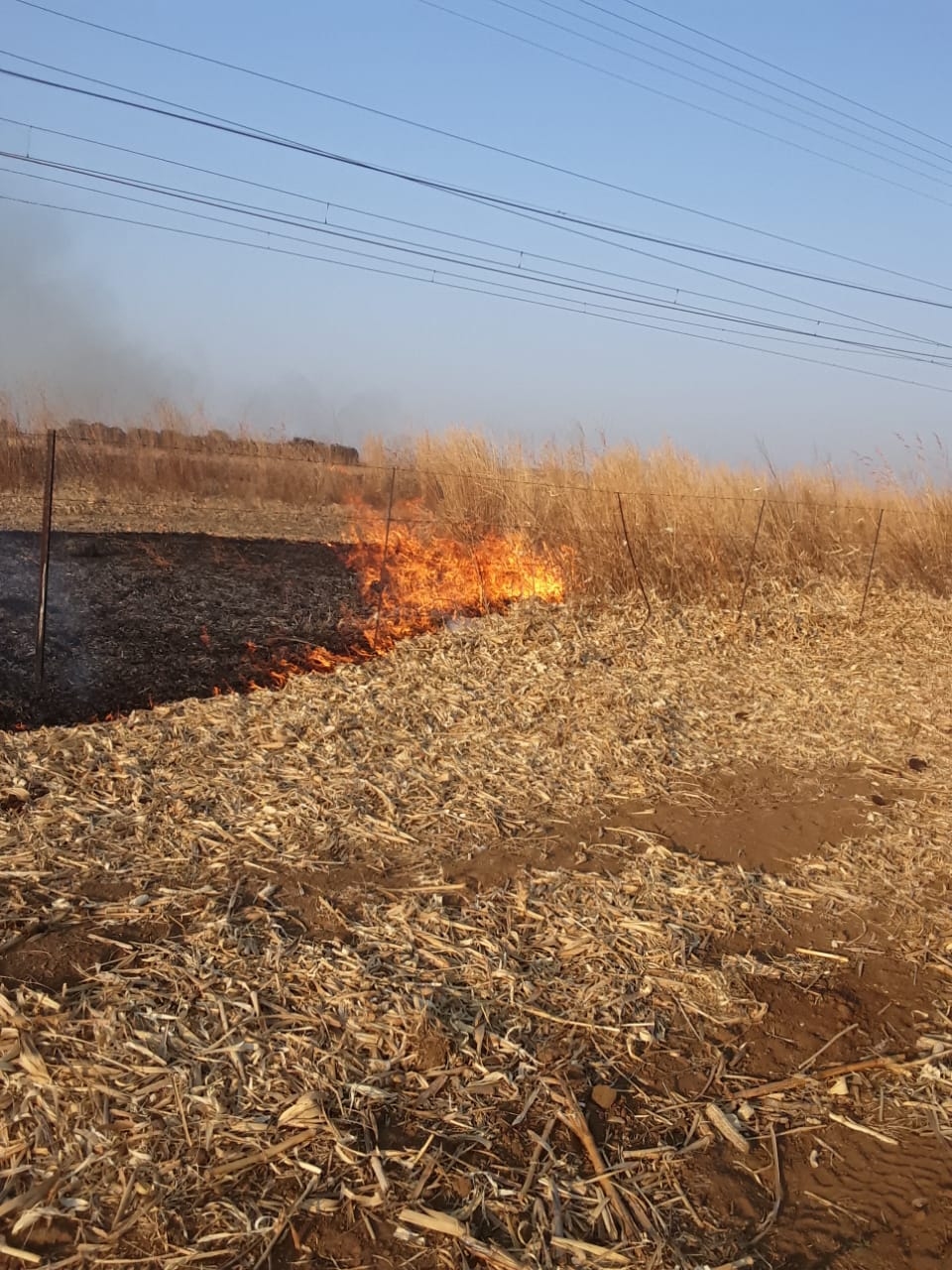 Veldbrande rig miljoene rand se skade in die Fochville en Carletonville ...