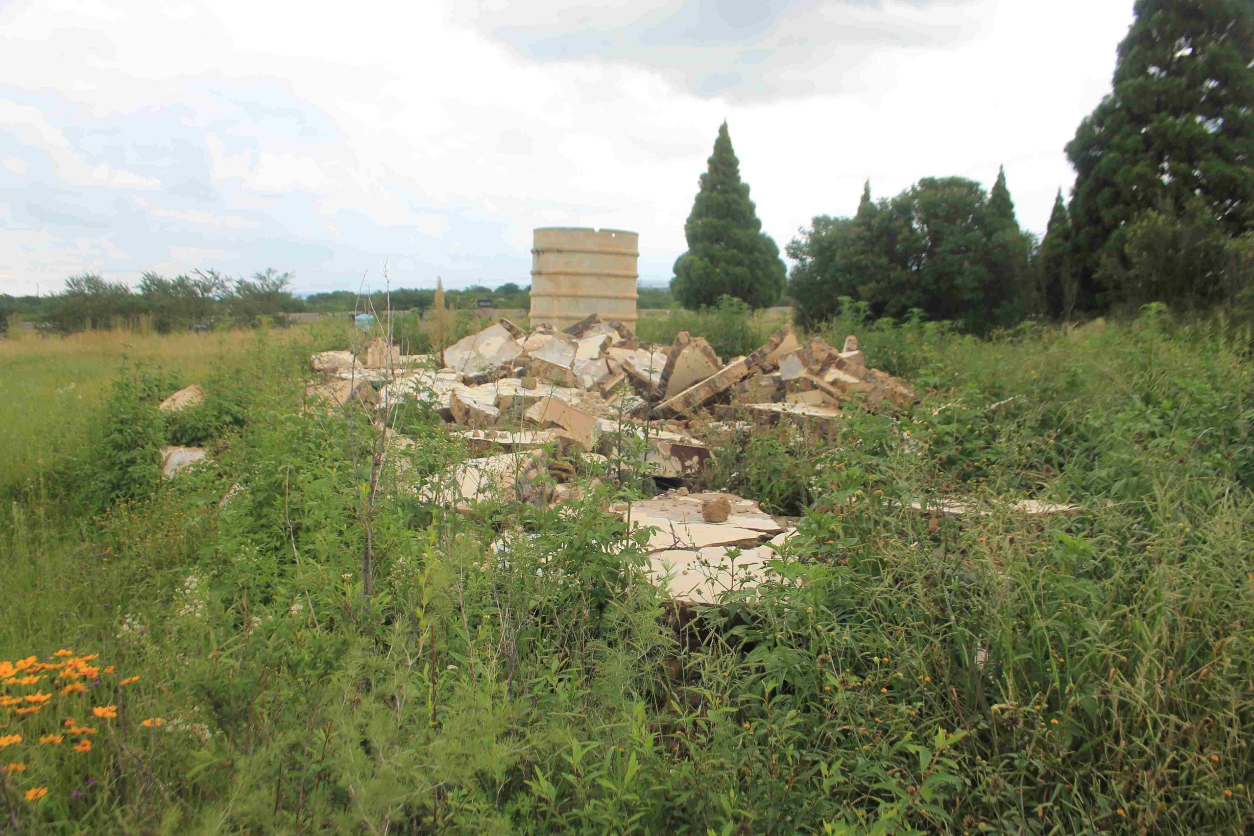 Fochville begraafplaas lyk soos ‘n oerwoud | Carletonville Herald