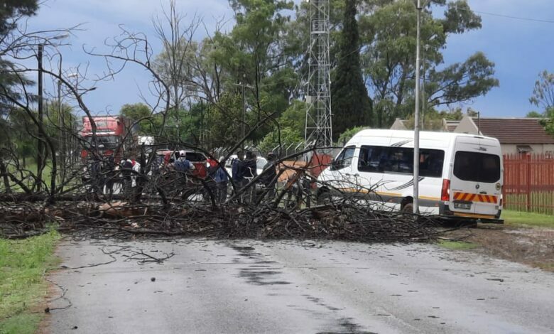 Boom waai om in MC Roode-weg in Potch | Carletonville Herald