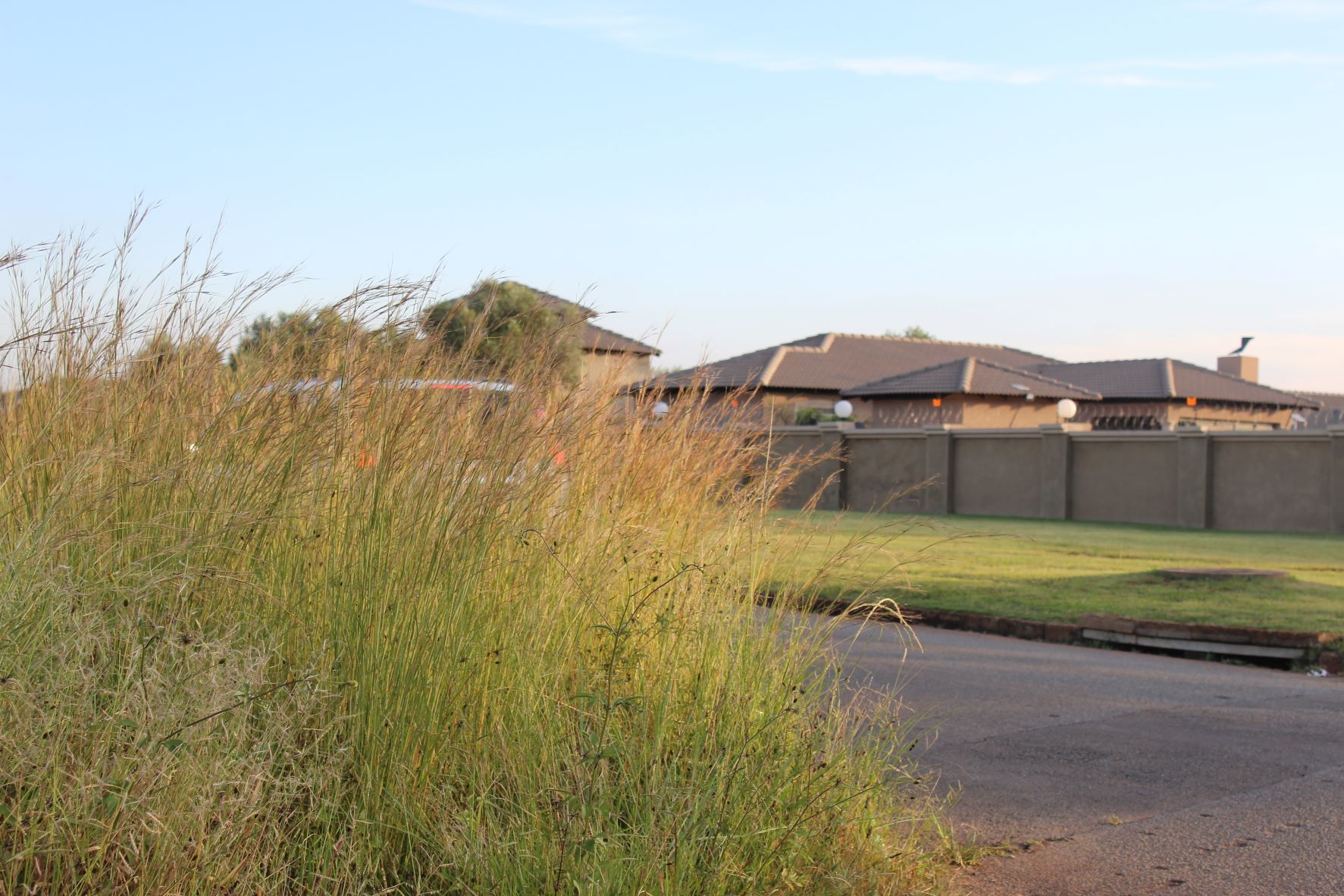 Pasop by dié kruising | Carletonville Herald