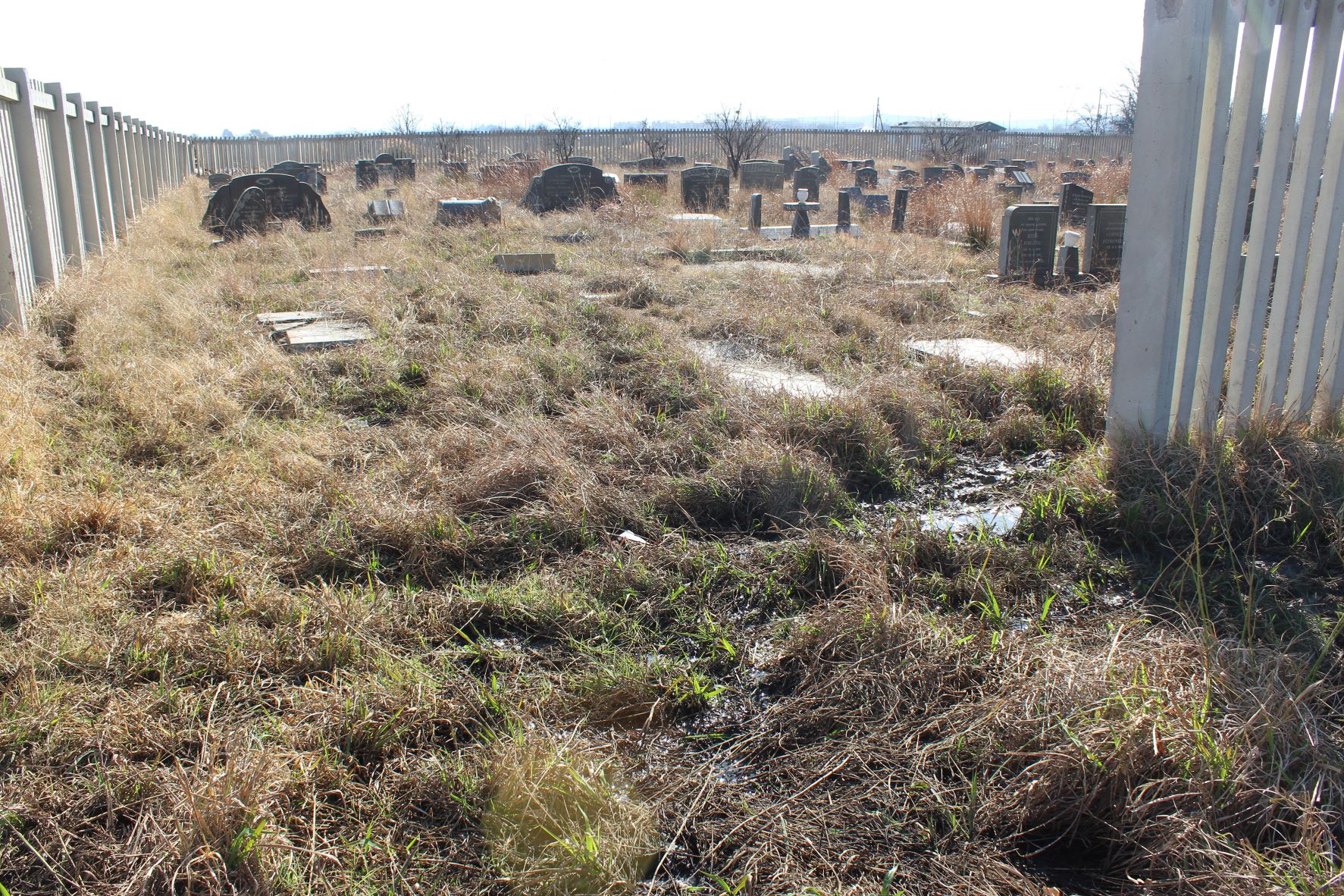 Riool begin begraafplaas oorstroom | Carletonville Herald