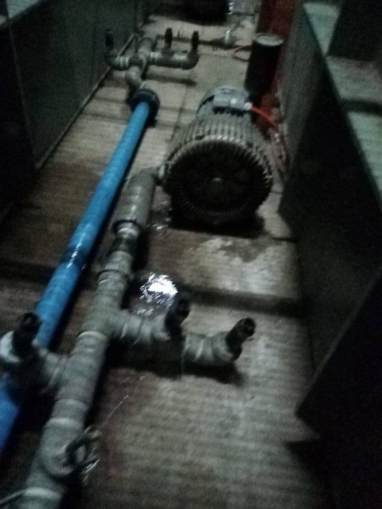 Trident plant up and running says municipality | Parys Gazette