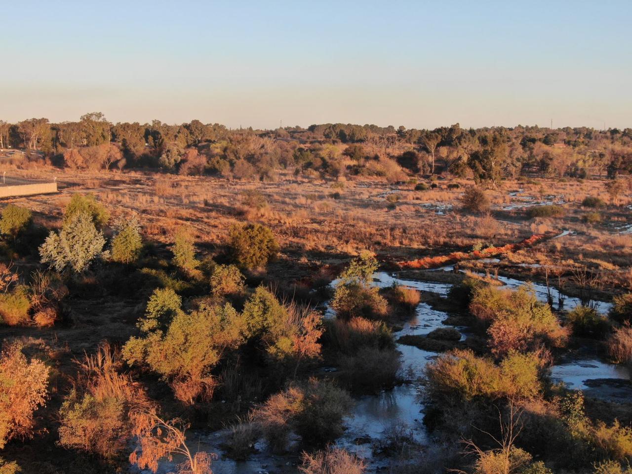 Nie eens Groen skerpioene genoeg om munisipaliteit te kry om ...