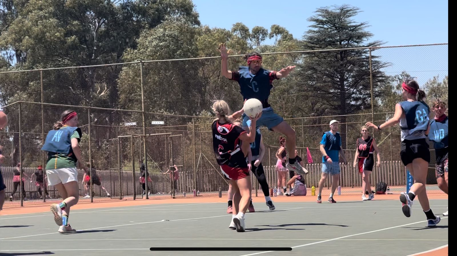 Potch se Panthers kraai koning by netbaldag | Parys Gazette