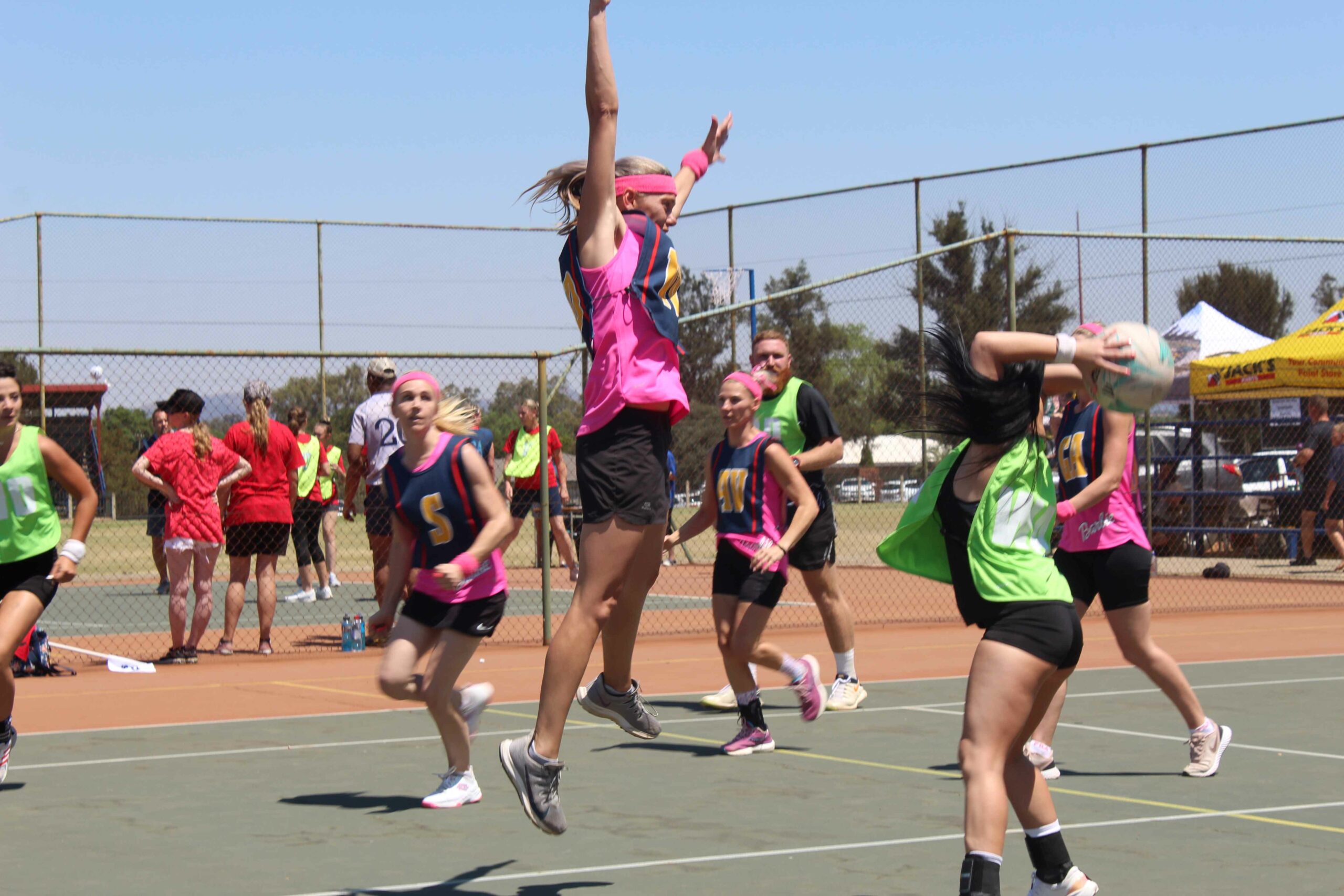 Potch se Panthers kraai koning by netbaldag | Parys Gazette