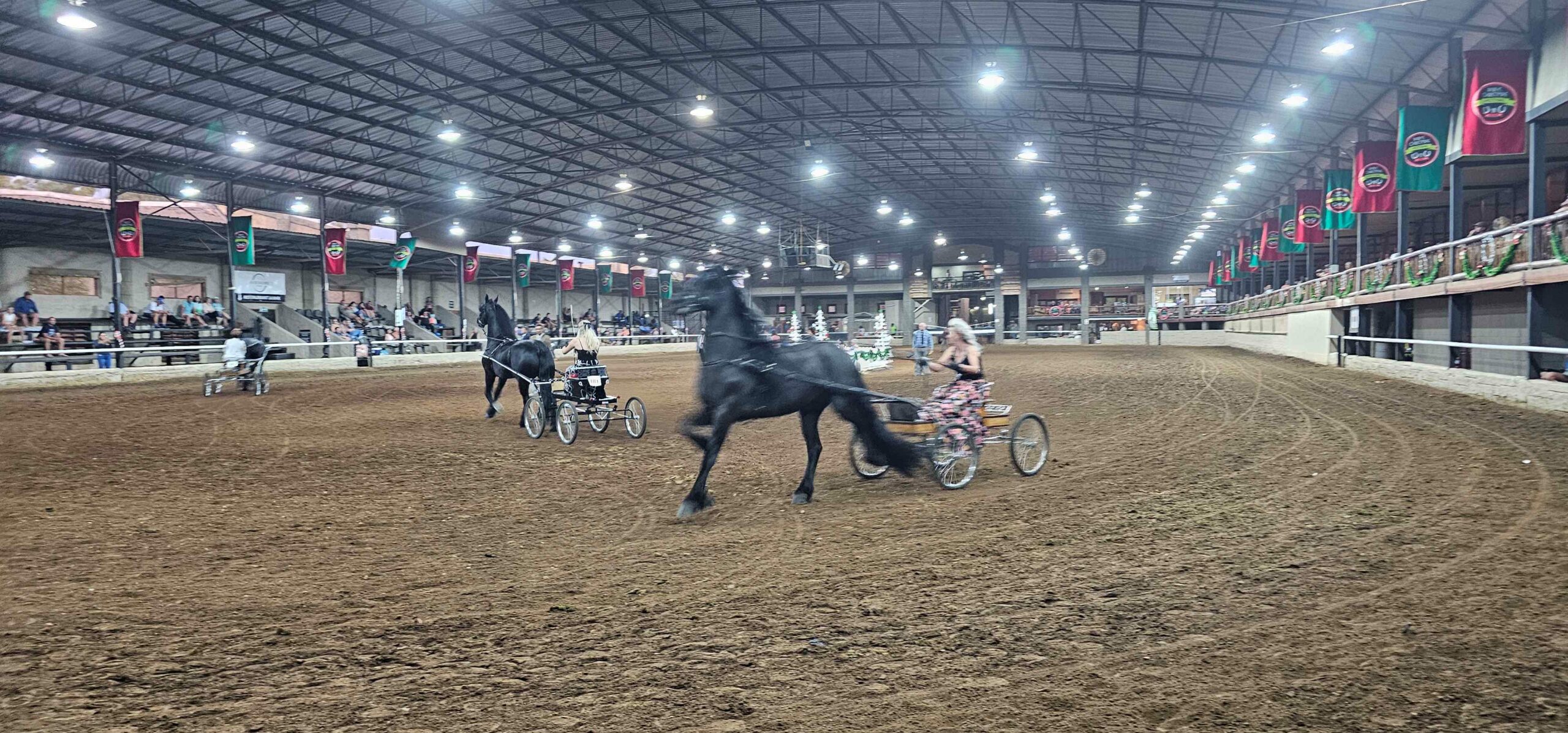 Moenie die aksie by vandag se Saalperd-kampioenskappe mis nie | Parys ...